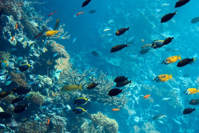 Barophobia: Overcoming the Fear of Gravity - Health Spot