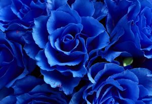 Understanding and Overcoming Fear of the Color Blue - Health Spot